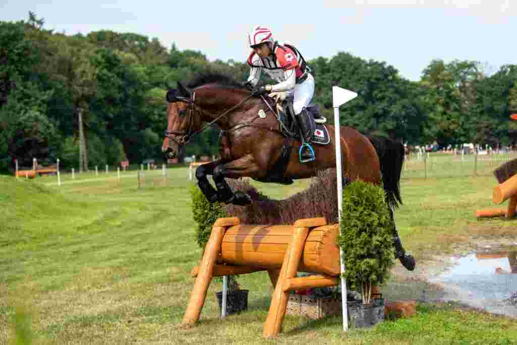 NZ's largest online training and news hub for equestrian - Level